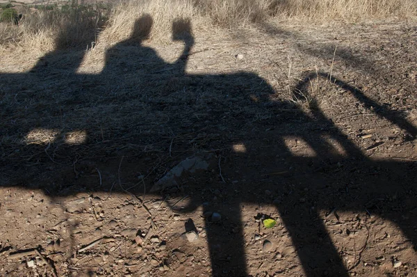 Black elongated shadow of a person reading on a bench in a park beside ...