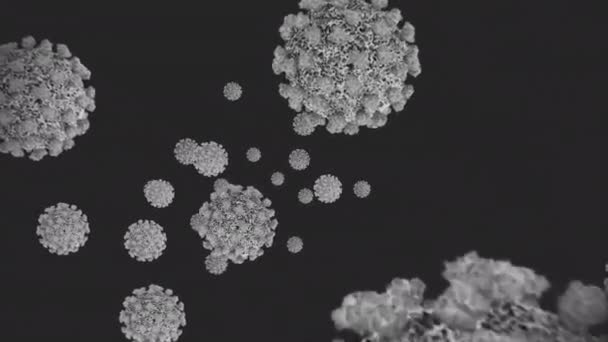 69 Scanning electron microscope Videos, Royalty-free Stock Scanning ...