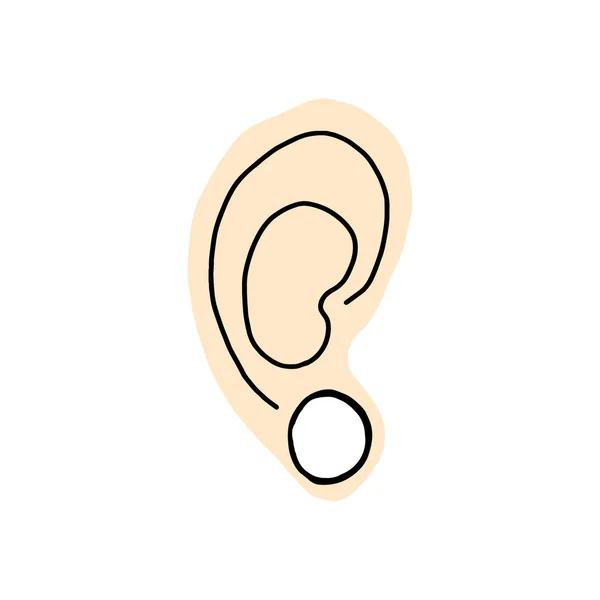 The left ear Vector Art Stock Images | Depositphotos