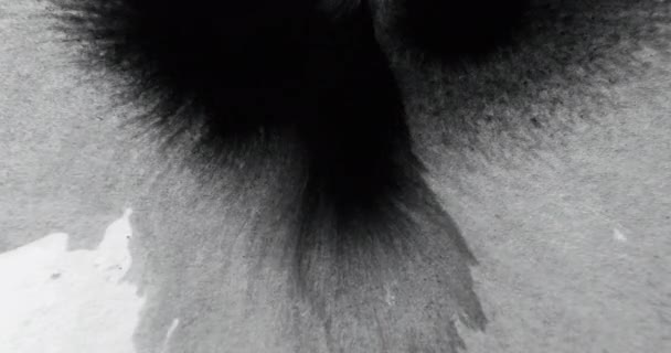 4,775 vídeos de Ink water spill, metraje de Ink water spill sin ...