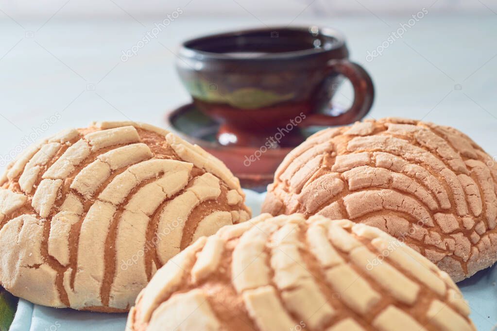 Auténtica concha, tradicional pan dulce mexicano hecho de vainilla y ...