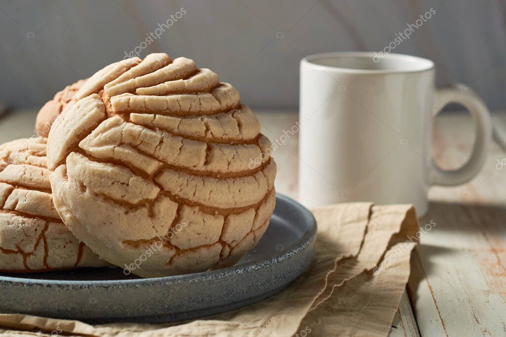 Conchas panadería tradicional de pan dulce de México 2022