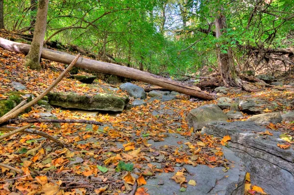 Indian Village Canyon in Fall, Columbus, Ohio - Stock Image - Everypixel