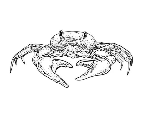 22,524,973 Crab outline Vector Images | Depositphotos