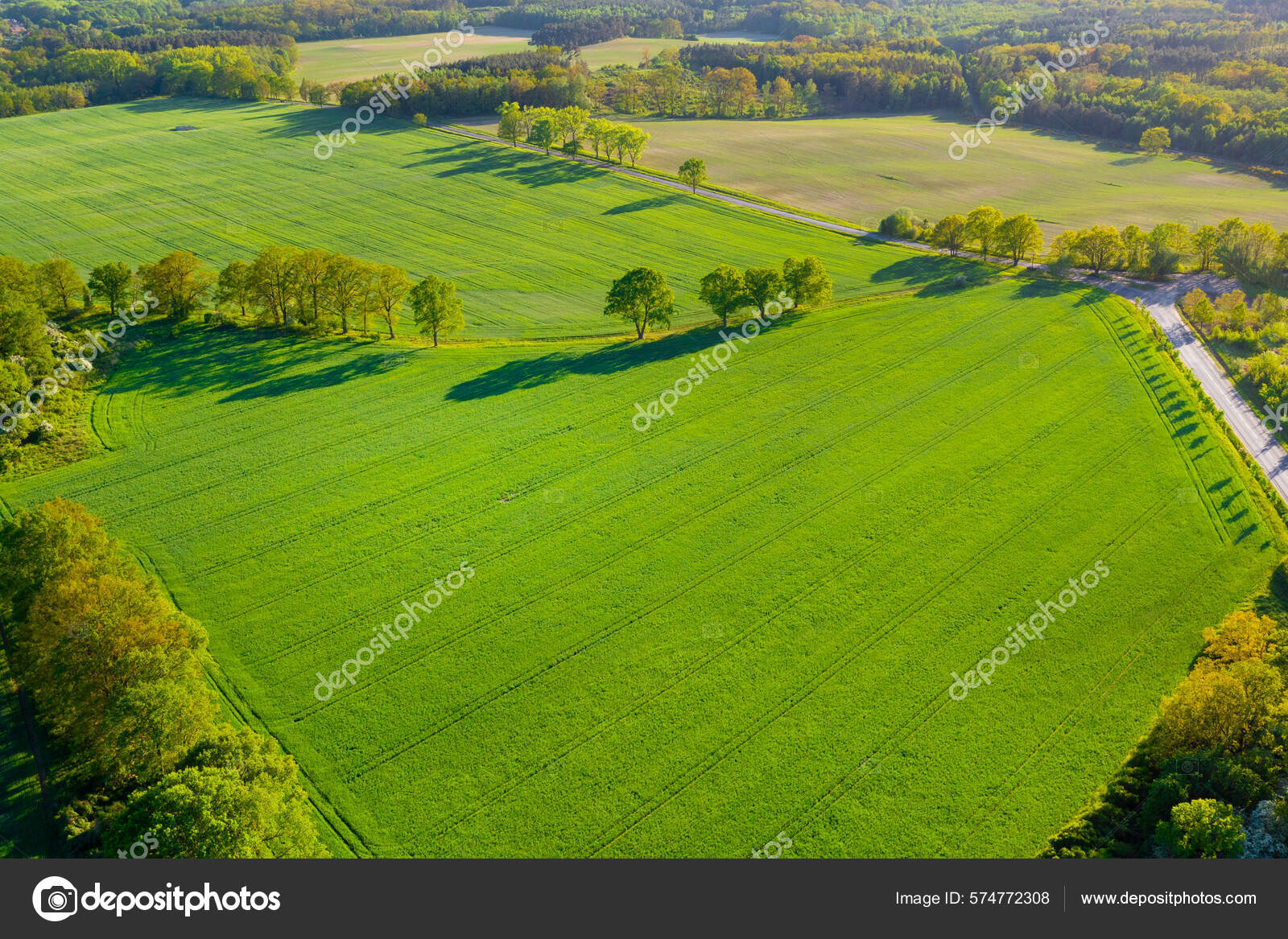 View Height Green Fields Trees Summer Nature — Stock Photo © unusual111 ...