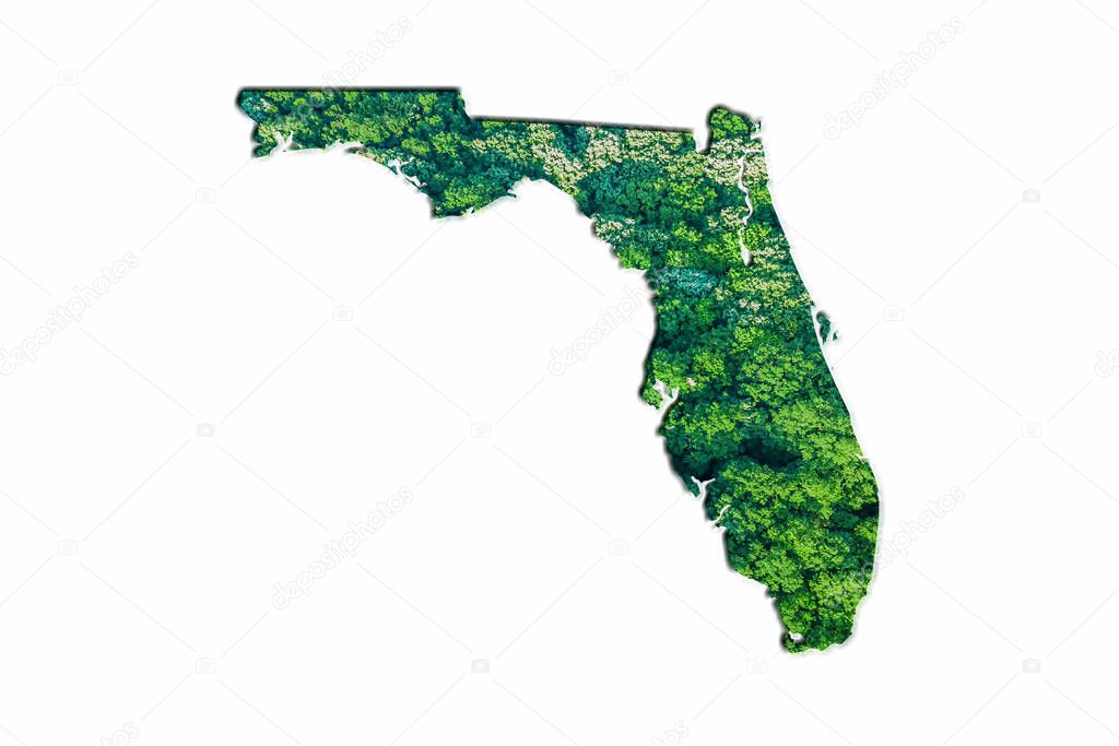 Mapa del Bosque Verde de Florida, sobre fondo blanco 2022