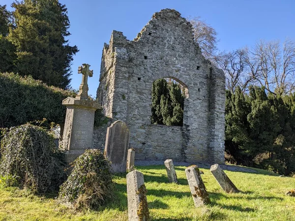 Moone High Cross, edificio del patrimonio celta en la República de ...