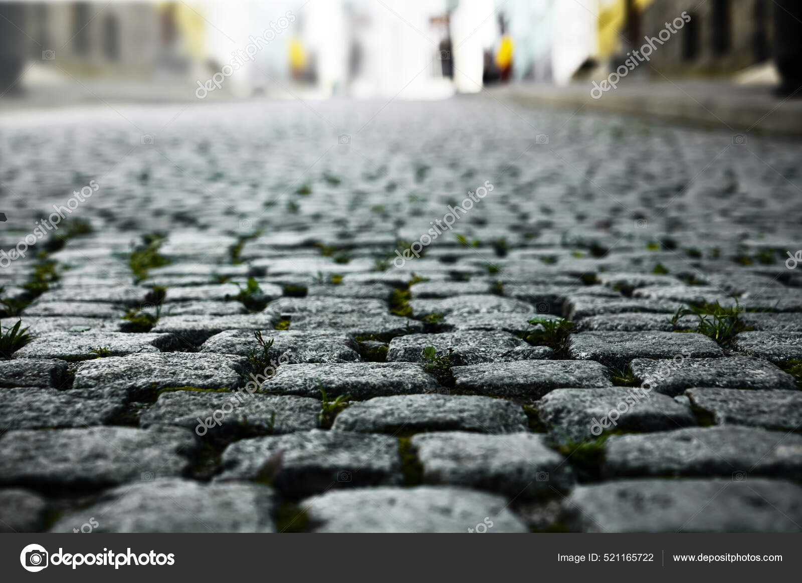 Paving Stone Sunlight Old Street Floor Pavement Background Street Tiles ...