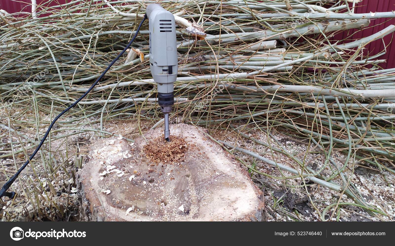 DIY technique for removing old tree stump using electric drill — Stock ...