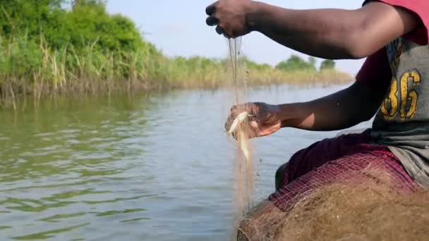 10,118 Malla pesca Videos, Royalty-free Stock Malla pesca Footage ...