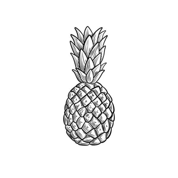 Grafika wektorowa Ananas rysunek, Ananas rysunek obrazy wektorowe ...