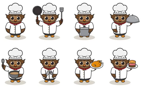 Owl chef Vector Art Stock Images | Depositphotos