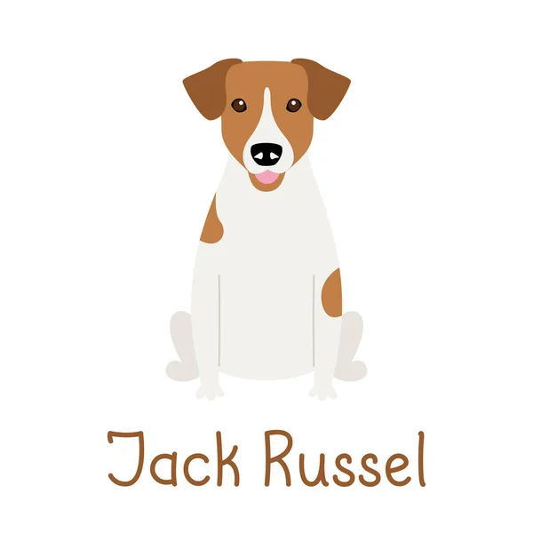 Jack russell logo Vector Art Stock Images | Depositphotos