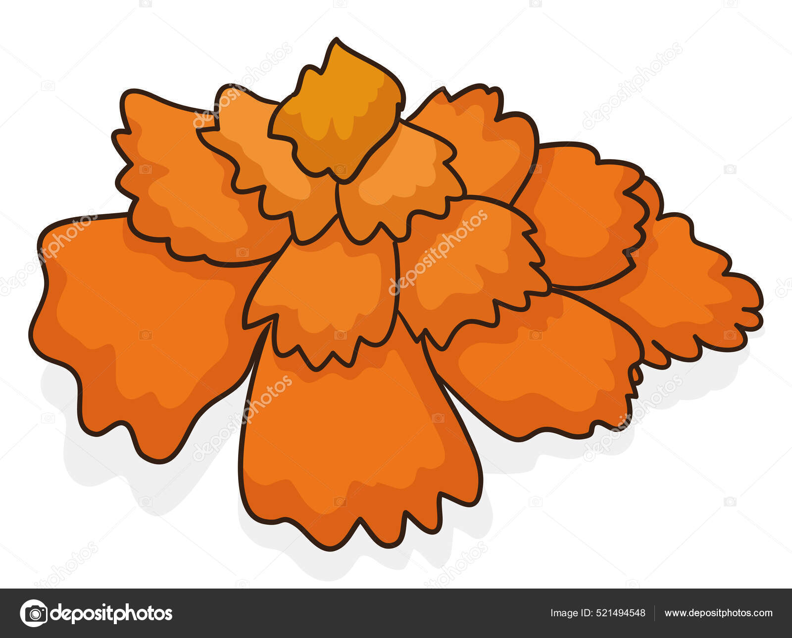 Cempasuchil Flower Drawing | Best Flower Site