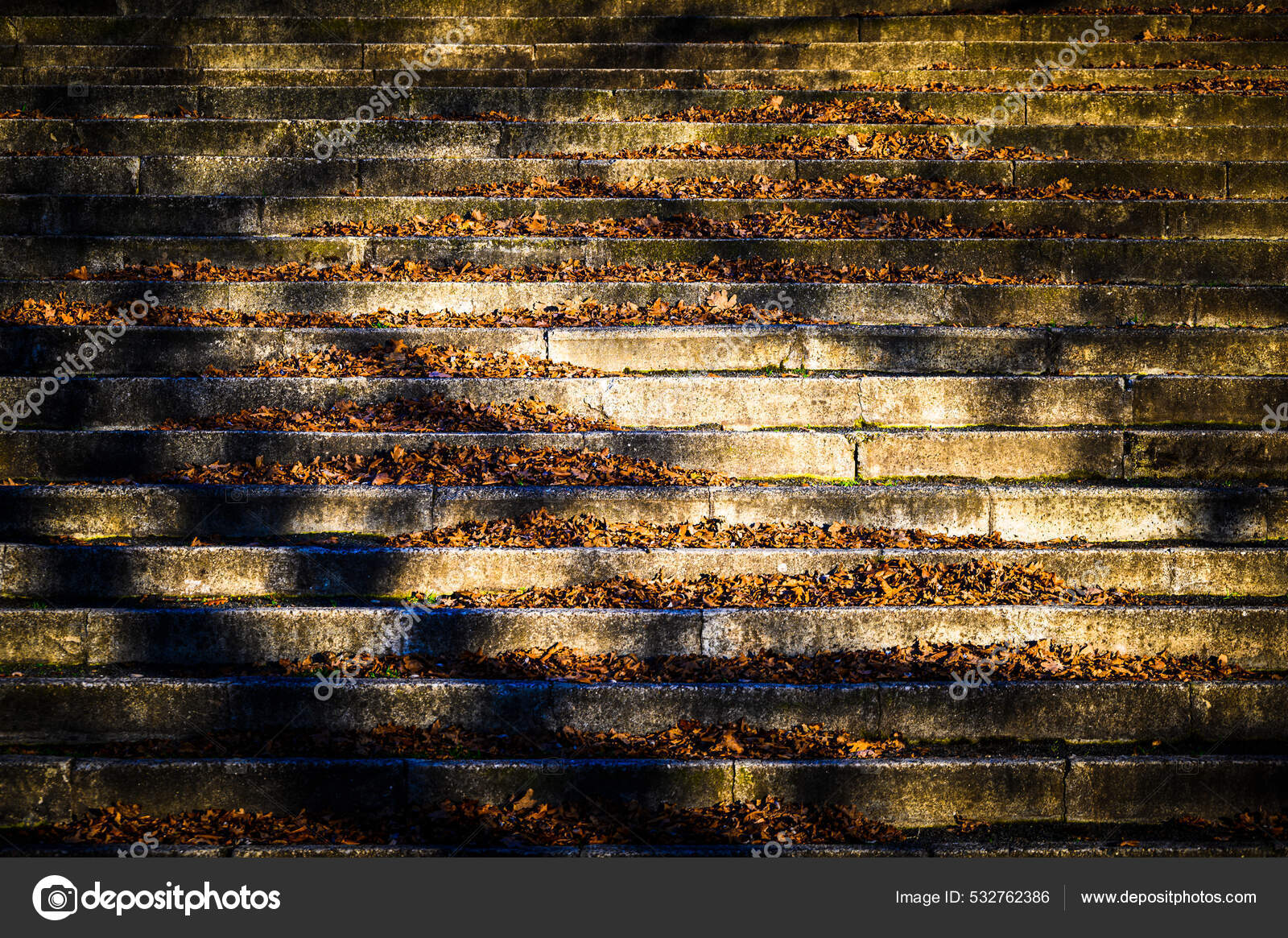 Autumn Leaves Stair Steps Piles Autumnal Colored Foliage Weathered ...