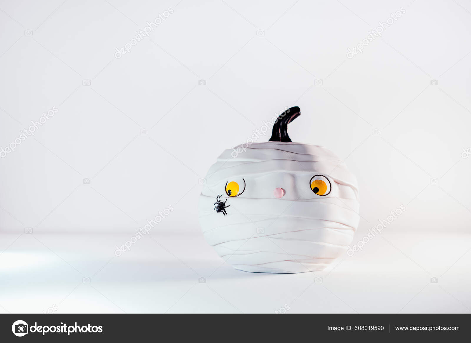 Mummy Painted Pumpkin