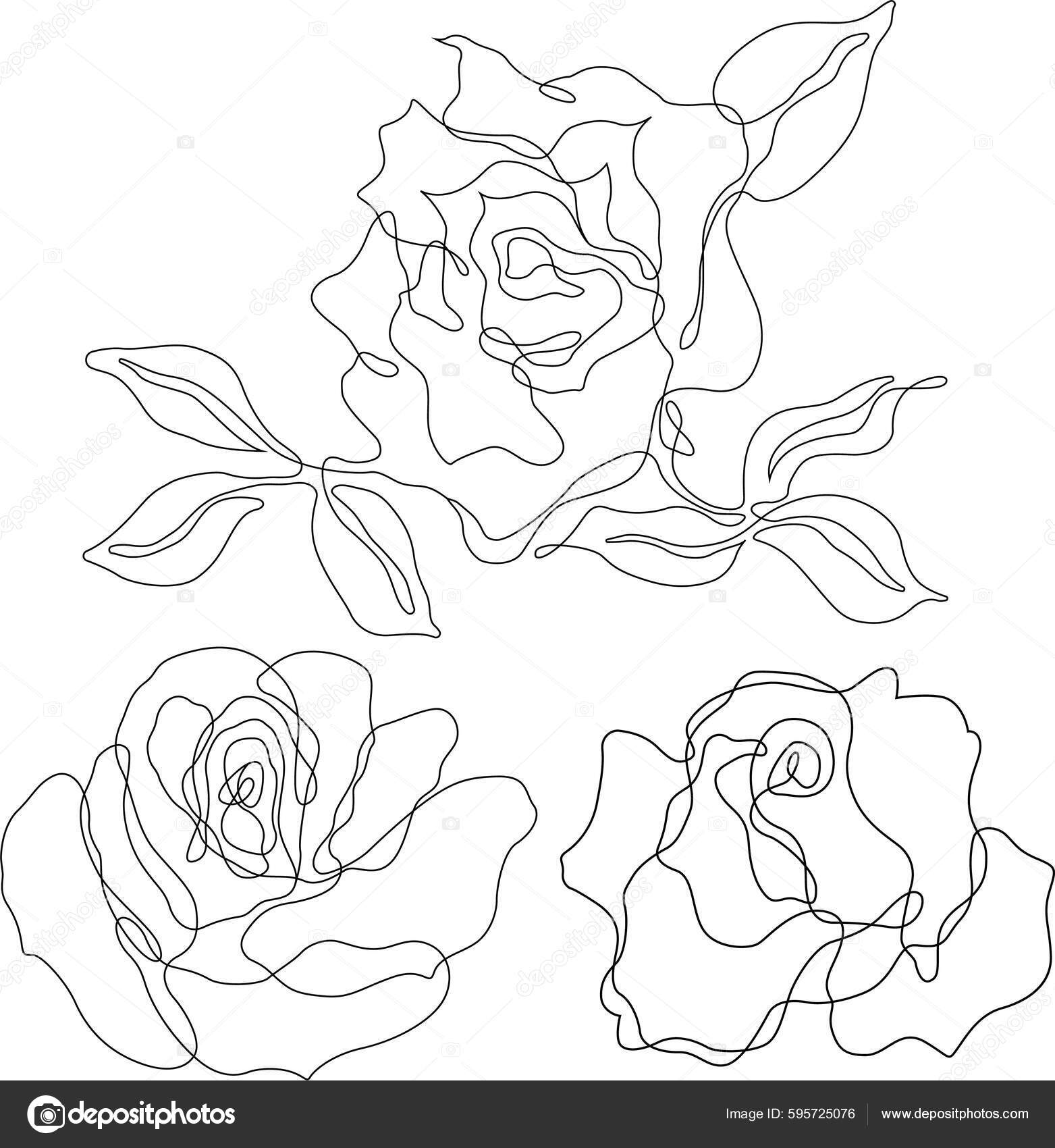 Rose Flower Vector Outline