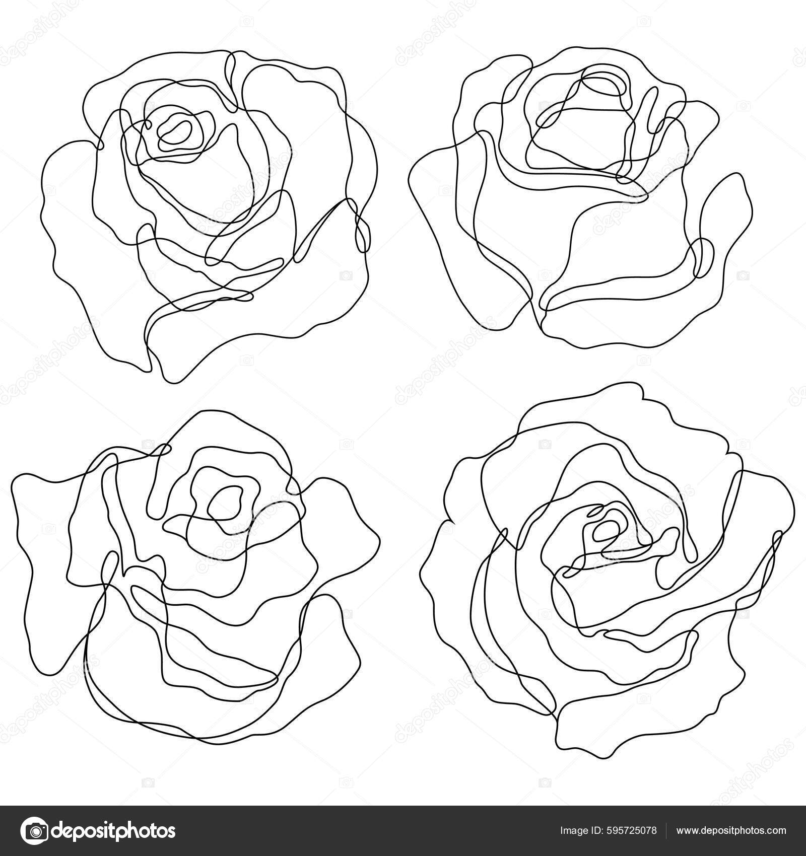 Rose Flower Outline Vector Set Hand Drawn Sketches Line Ink Vector de ...