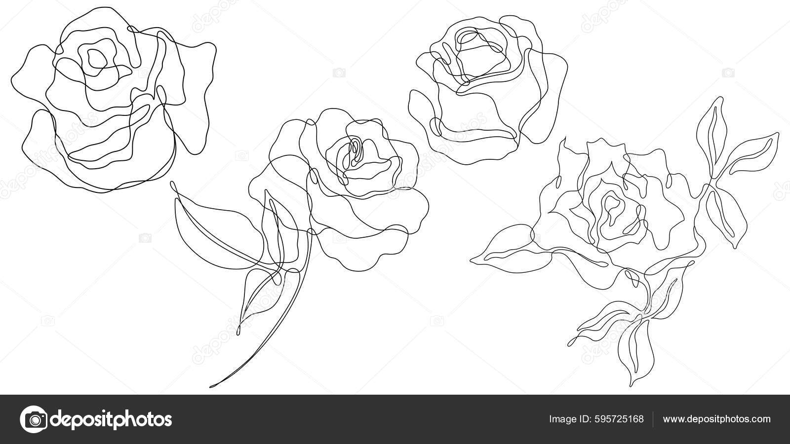 Rose Flower Outline Vector Set Hand Drawn Sketches Line Ink Stock ...