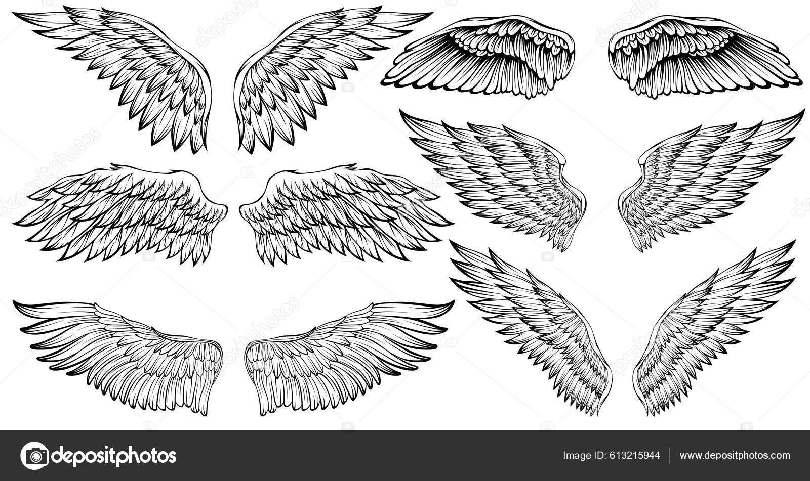 Bird Wings Vector Illustration Tattoo Style Hand Drawn Design Element ...