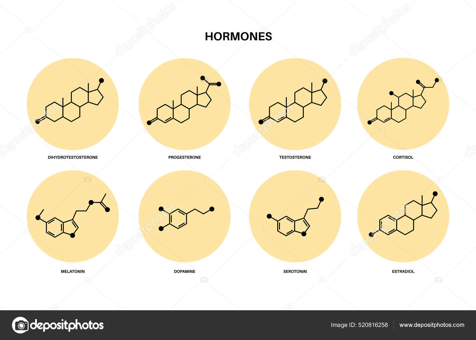 Hormones molecular formula Stock Vector by ©Pikovit 520816258