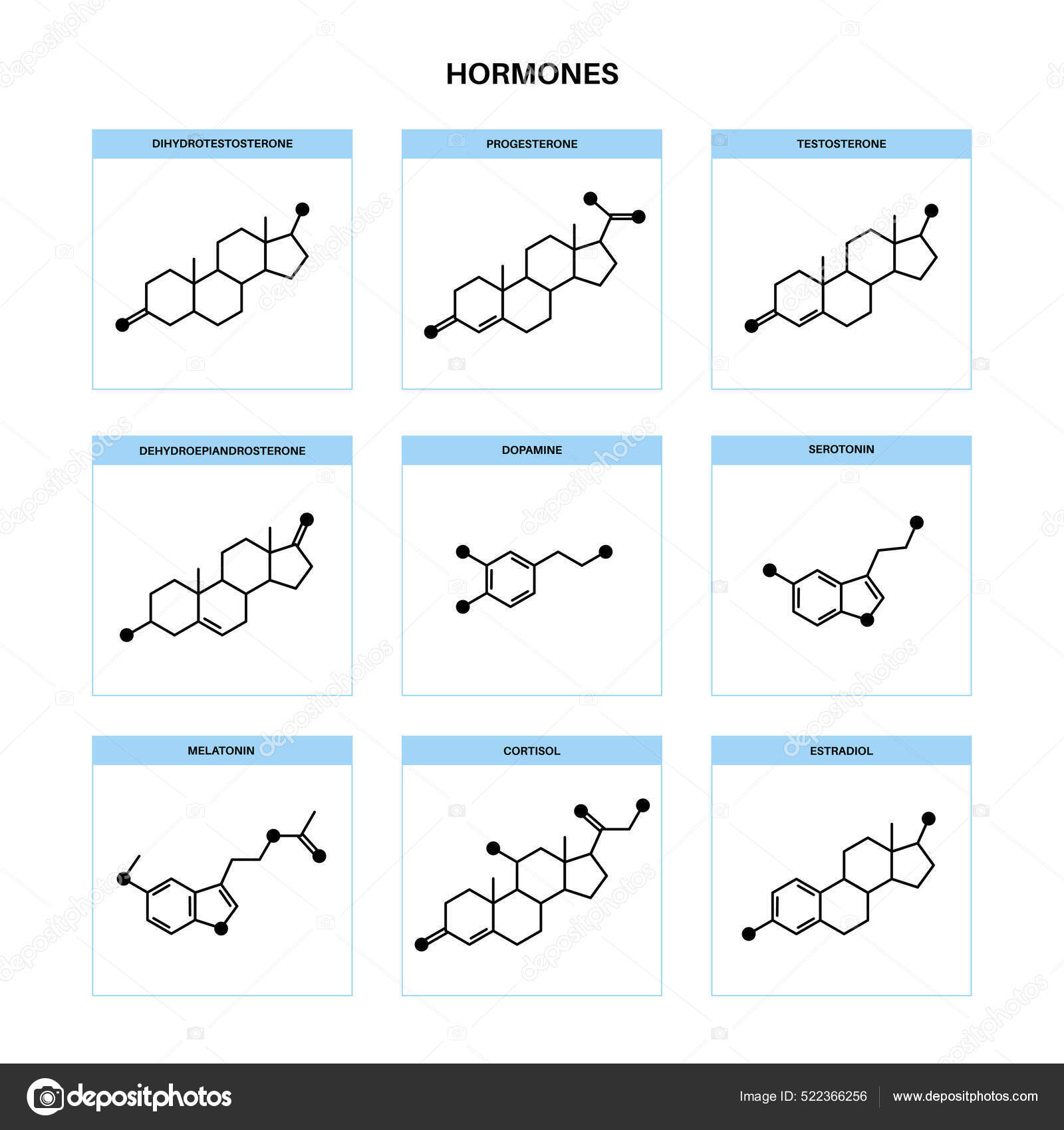 Hormônios fórmula molecular imagem vetorial de Pikovit© 522366256