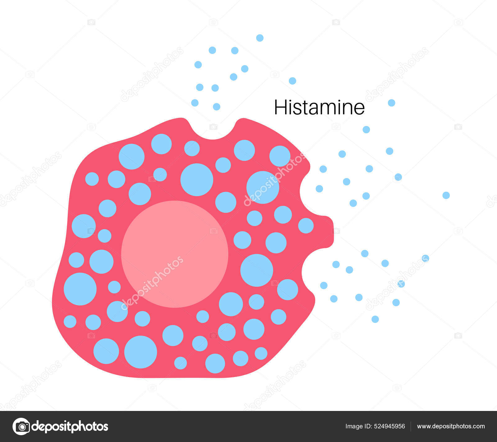 Mast cell poster Stock Vector Image by ©Pikovit #524945956