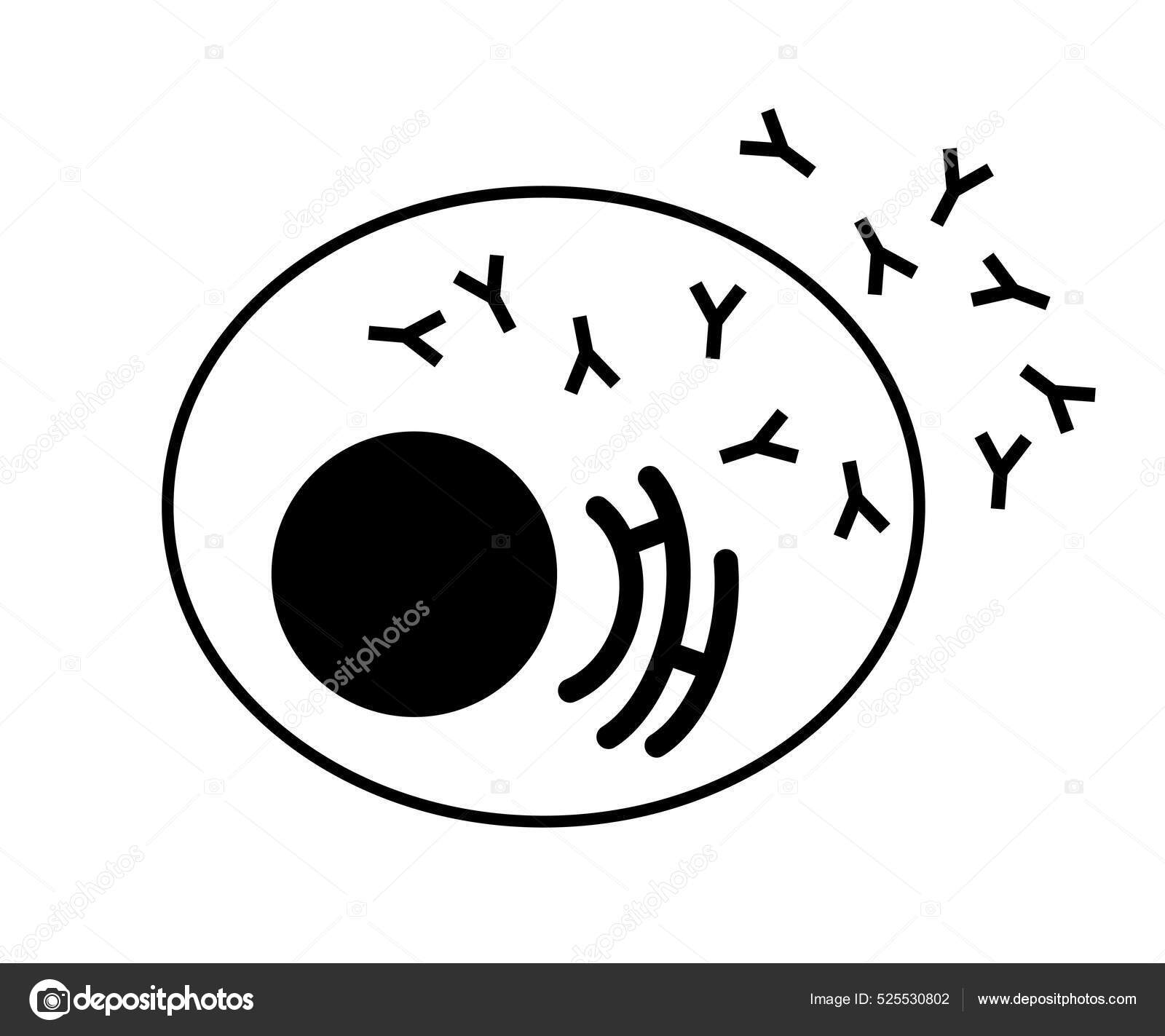 Plasma cell icon Stock Vector by ©Pikovit 525530802