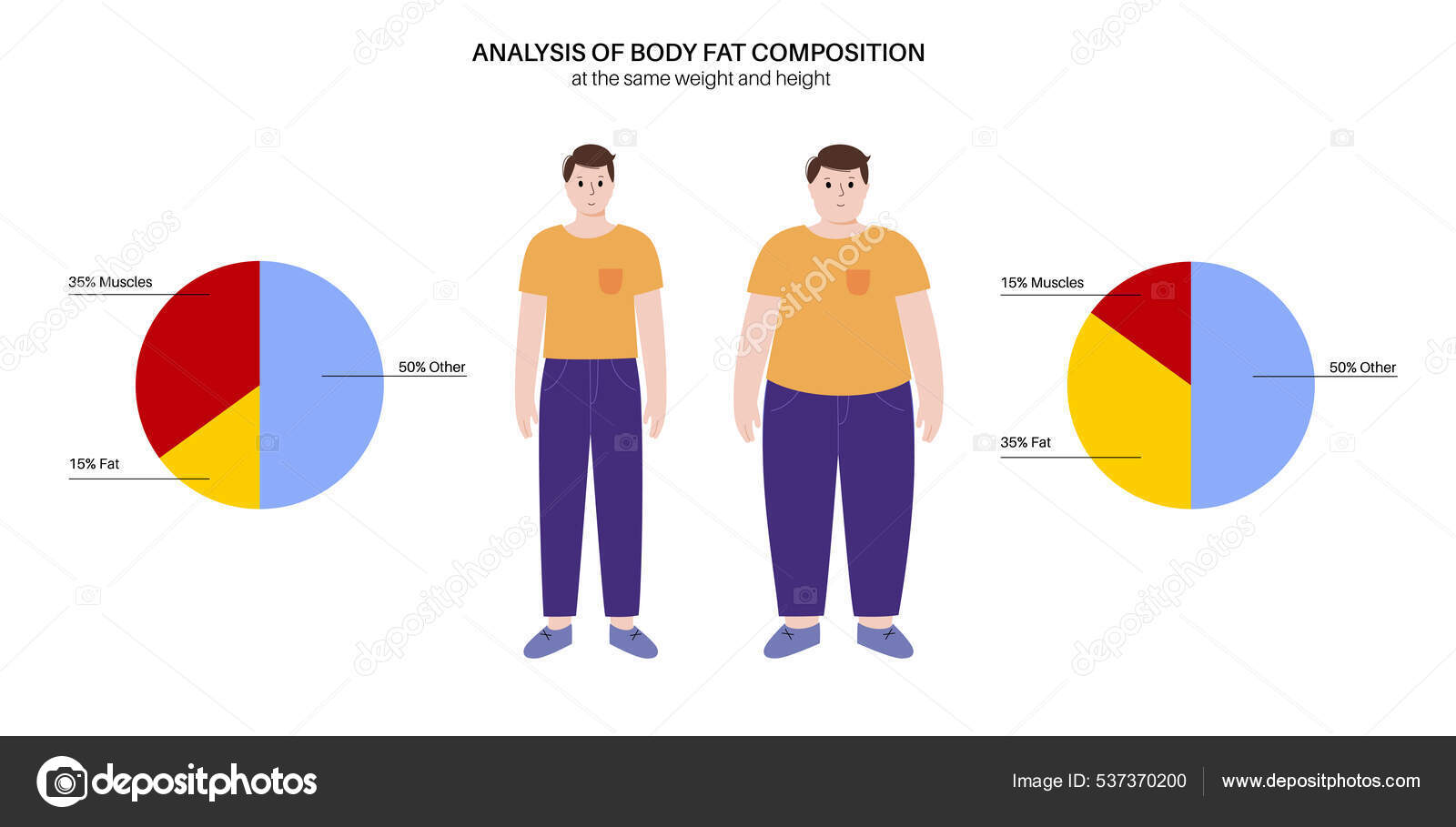 Body fat composition Stock Illustration by ©Pikovit #537370200