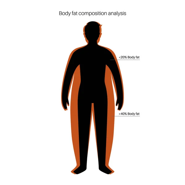 Body composition analysis Vector Art Stock Images | Depositphotos