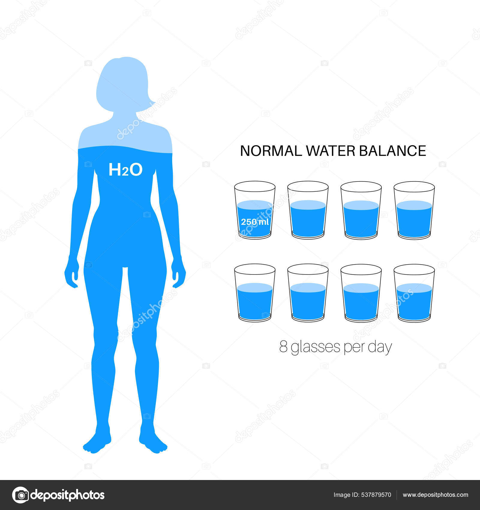 Water body balance Stock Vector by ©Pikovit 537879570