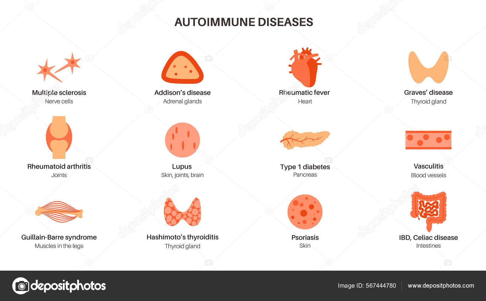 Autoimmune disorders diseases Stock Vector Image by ©Pikovit #567444780