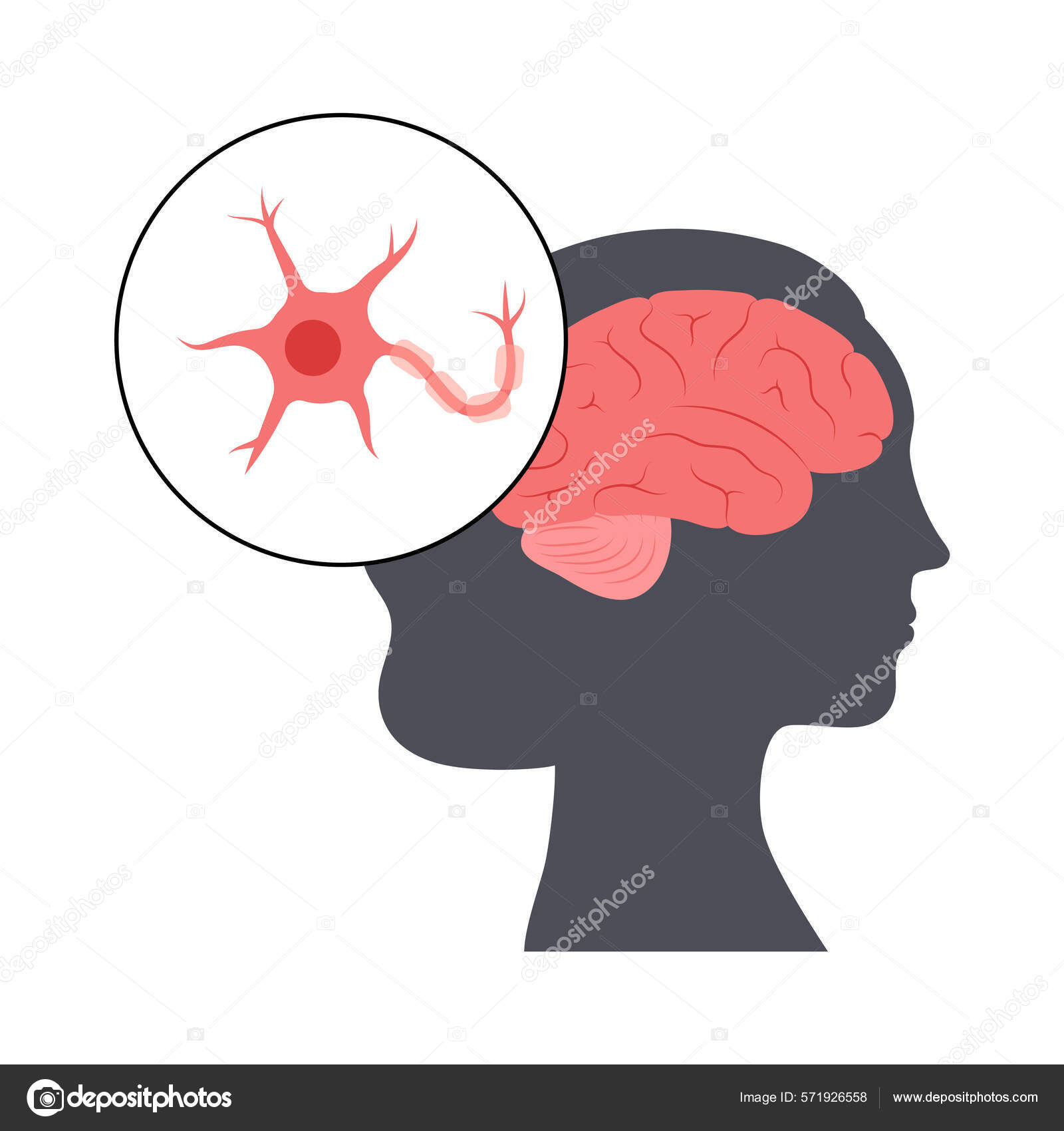 Neuron anatomy poster Stock Vector Image by ©Pikovit #571926558