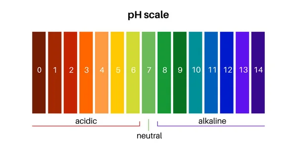 Simple Ph Scale