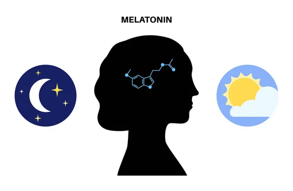 Vie produite images vectorielles, Vie produite vecteurs libres de ...