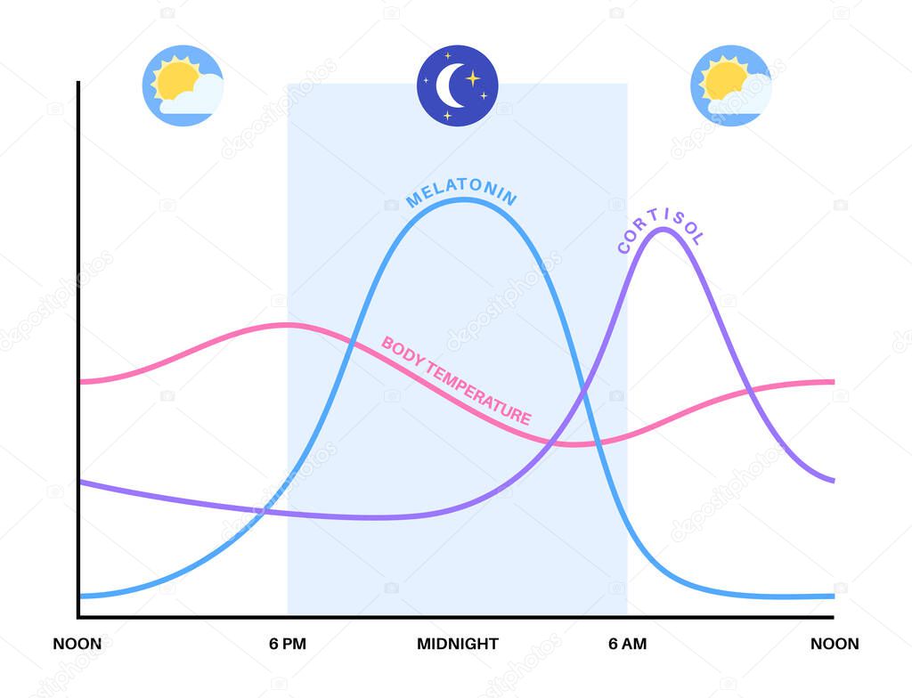 Circadian rhythm infographic poster. Melatonin and cortisol are ...