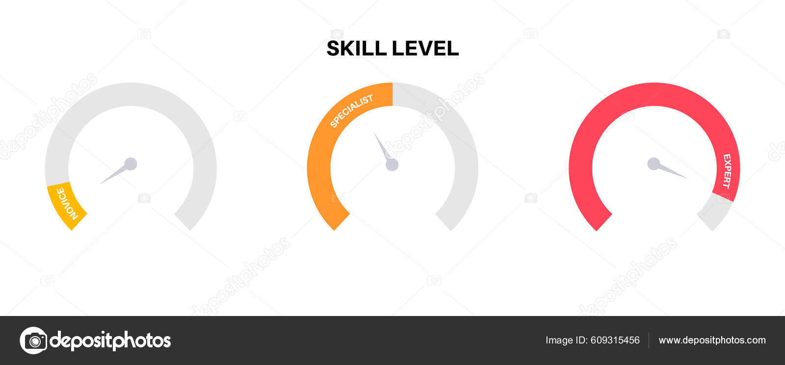 Level Skill Meter Diagram Difference Beginner Specialist Expert ...