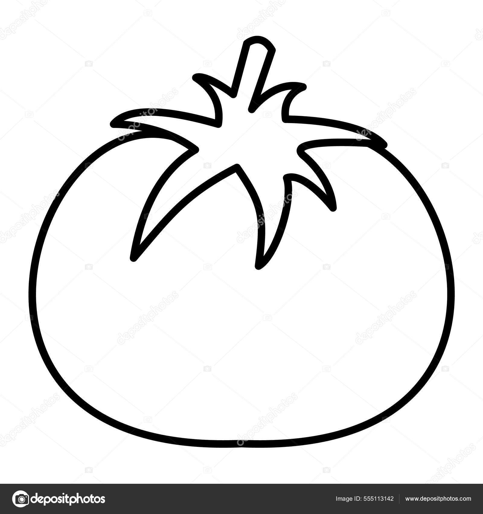 Tomato Icon Outline Fresh Fruits Vector Icons Web Design Isolated Stock ... Tomato Icon Outline Fresh Fruits Vector Icons Web Design Isolated Stock ...