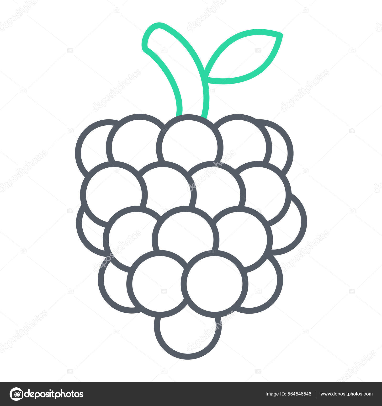 Simple Grapes Outline