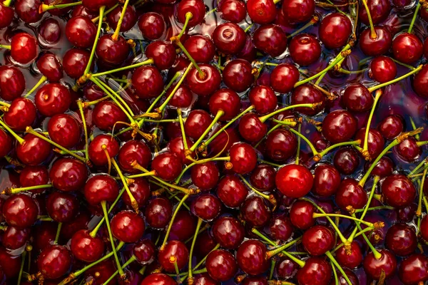 Cherry splash Stock Photos, Royalty Free Cherry splash Images ...