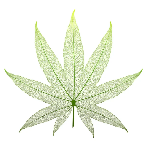 100,000 Panfleto de cannabis Vector Images | Depositphotos