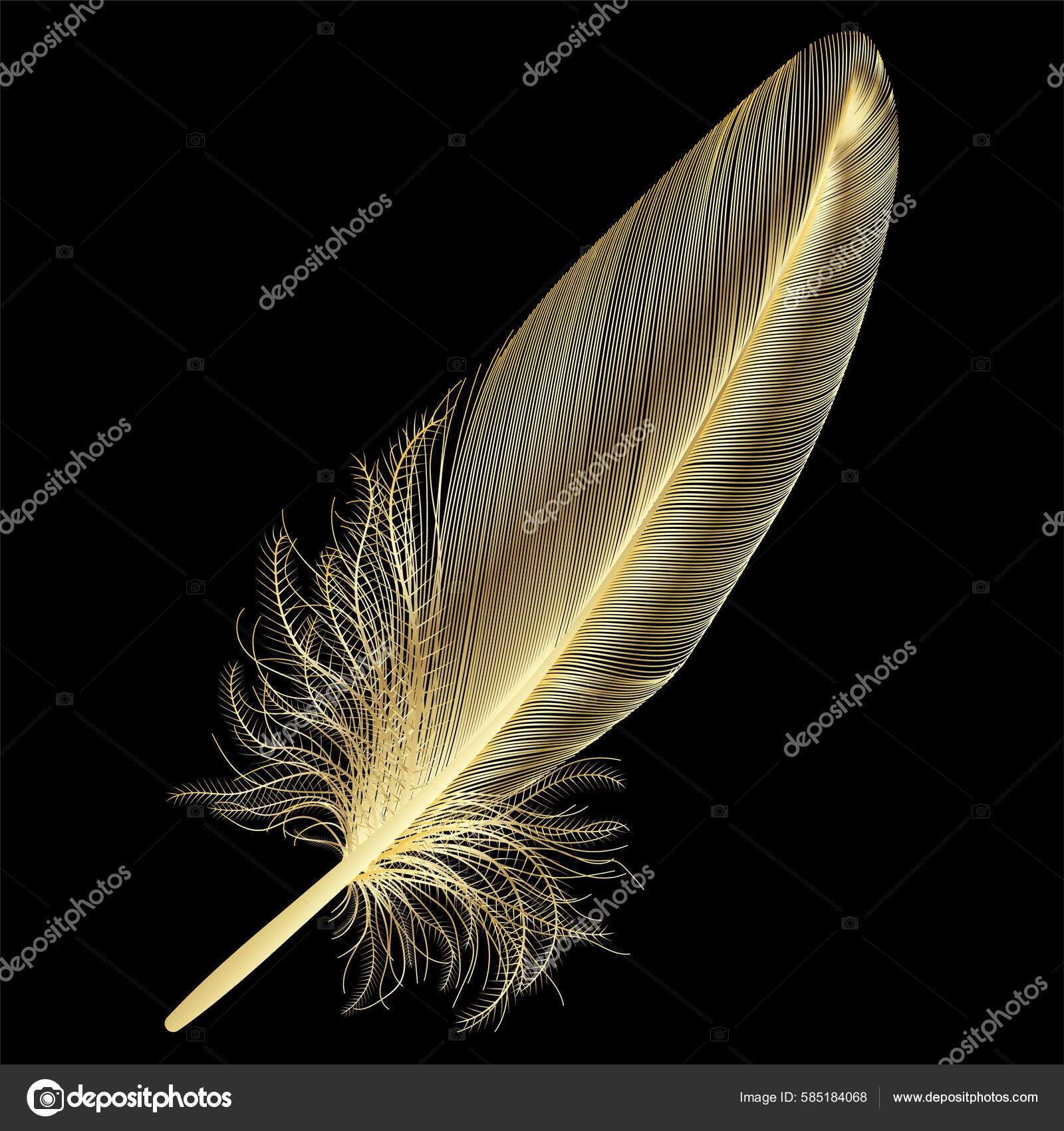 Pluma Sobre Fondo Negro Vector de stock #585184068 de ©Helenaa