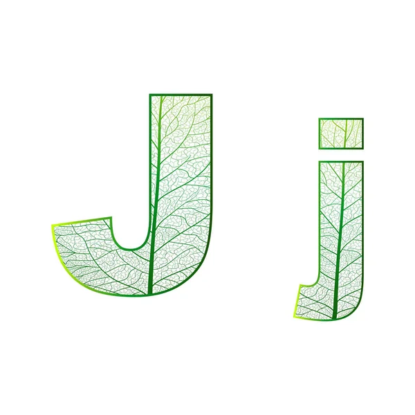 40,000,000+ vectores de Jeju, imágenes vectoriales | Depositphotos