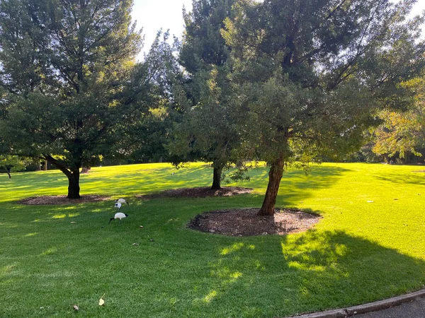 Parc de rutherford Stock Photos, Royalty Free Parc de rutherford Images ...