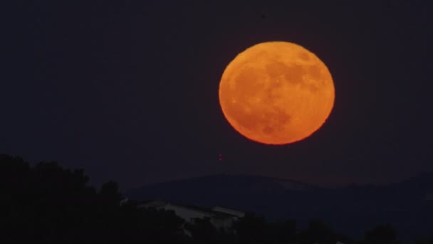 136 Formação de equilíbrio Videos, lizenzfreies Stock Formação de ...