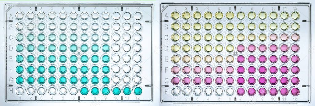 Microplacas de 96 pocillos en comparación con la prueba de actividad antioxidante: ABTS y DPPH ...
