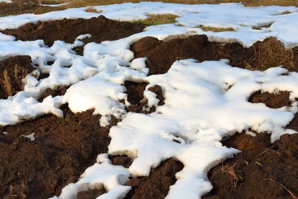 Marktina Stock Photos, Royalty Free Marktina Images | Depositphotos