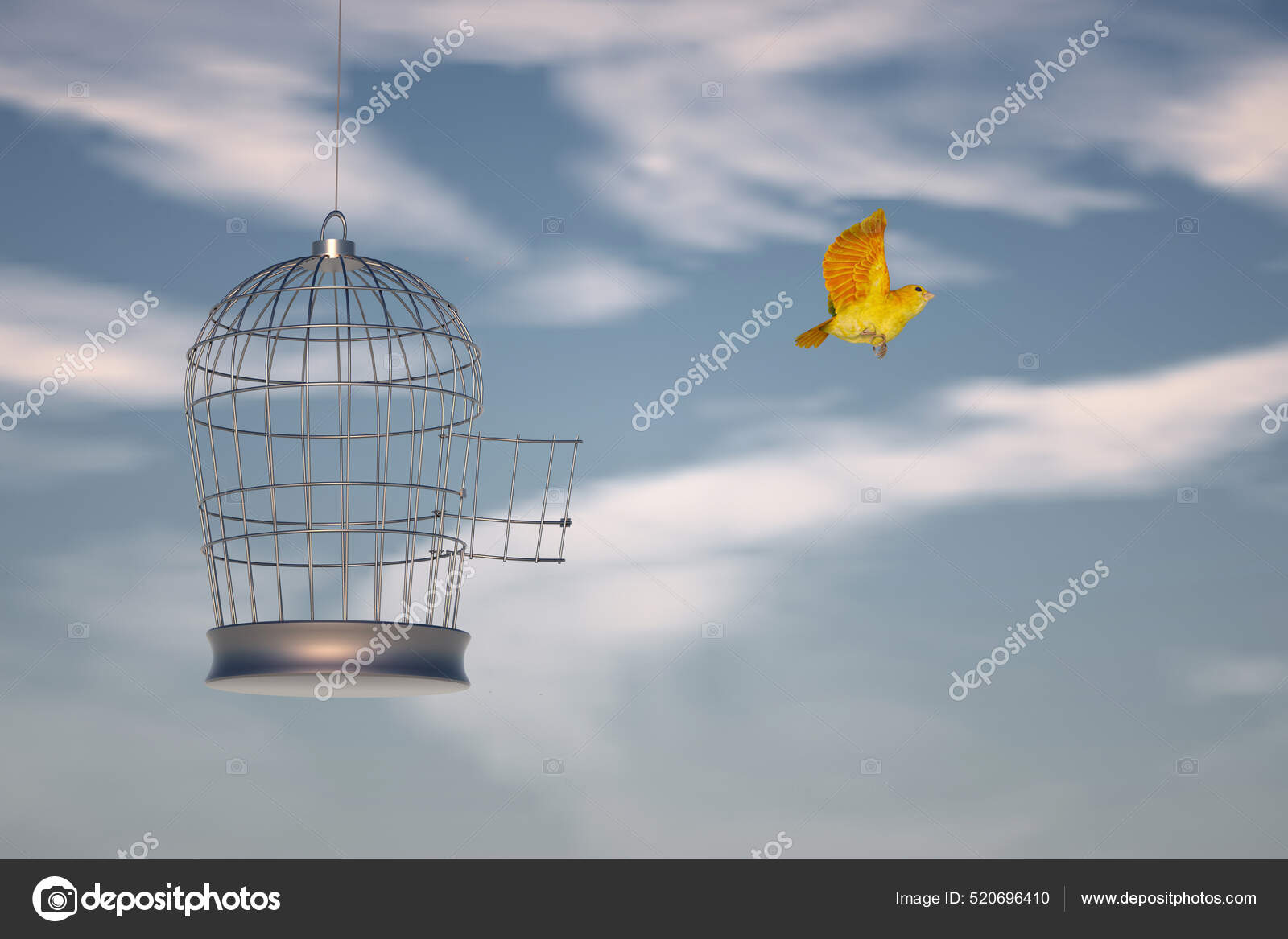 Freedom Bird Cage