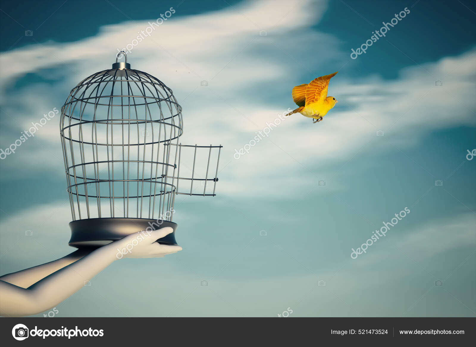 Bird Flying Away From Cage