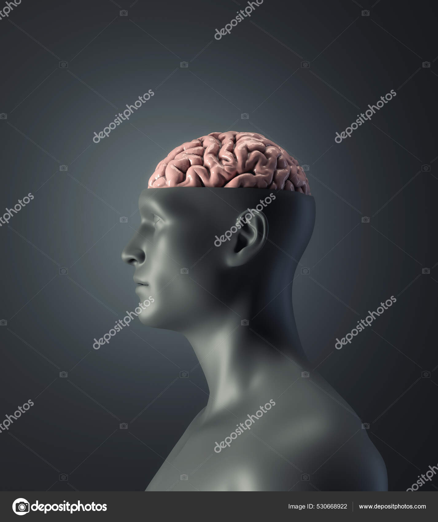 Man Half Head Visible Brain Wisdom Smart Thinking Concept Render Stock ...